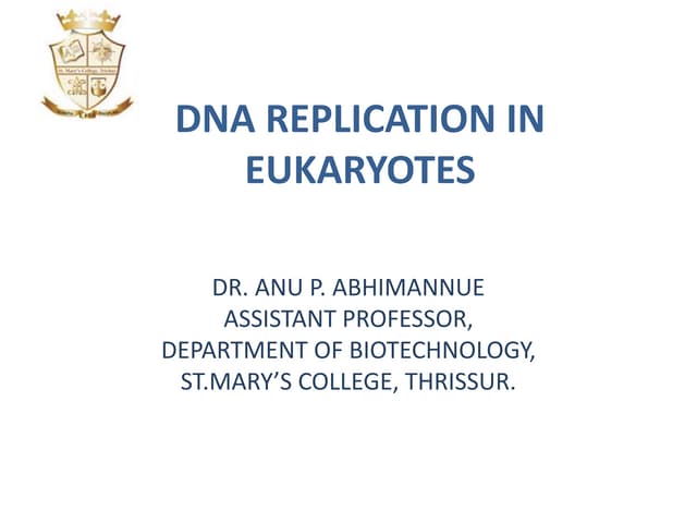 Dna replication eukaryotes | PPTX