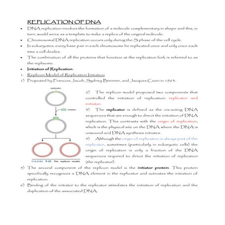 REPLICATION OF DNA.pdf