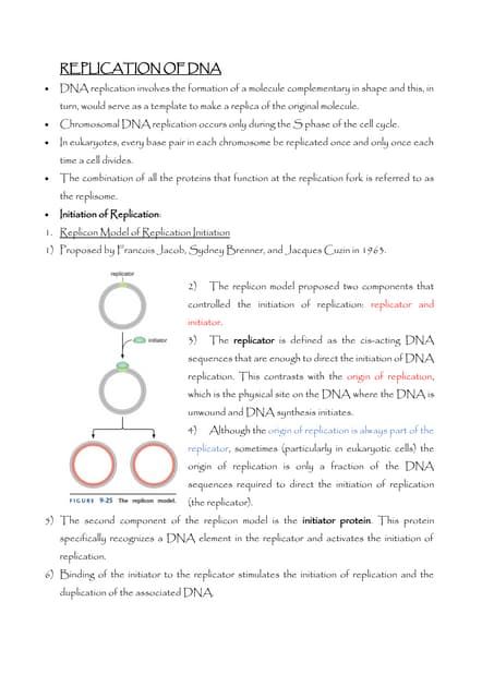 MODELS OF REPLICATION | PDF | Chemistry | Science