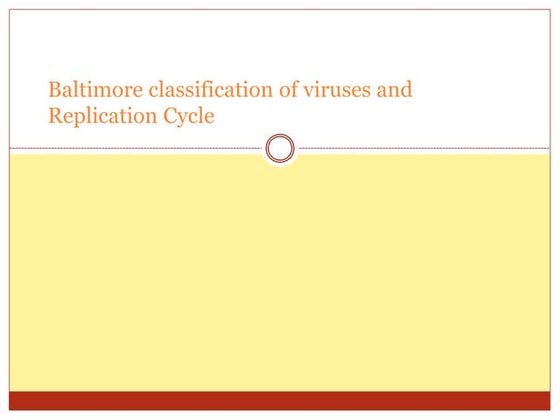 Baltimore classification of viruses presentation | PPTX | Biological ...