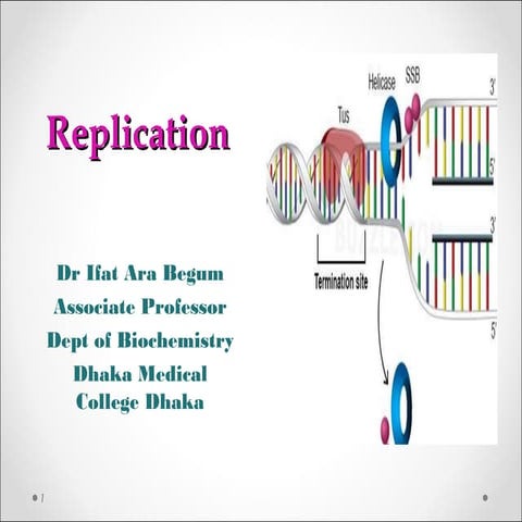 Replication (reviewed, 2018) | PPT | Chemistry | Science