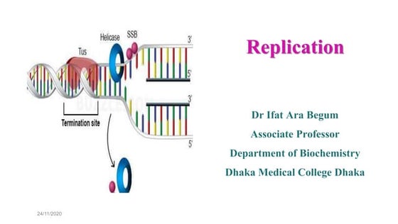 Introduction to metabolism | PPT