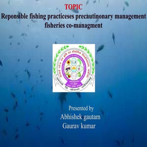 Reponsible fishing practiceses precautinonary management fisheries co ...