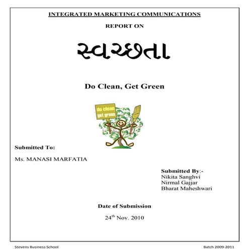 Do Clean, Get Green Report | PDF