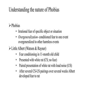 Understanding Phobias | PPT