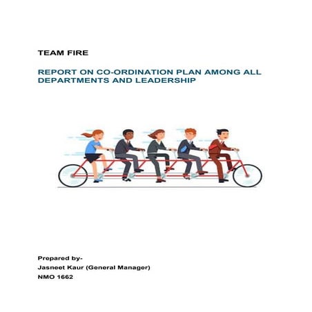 REPORT ON CO-ORDINATION PLAN AMONG ALL DEPARTMENTS AND LEADERSHIP | PDF