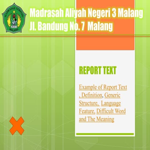 Report Text | PPT