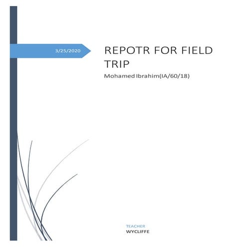 Field Report | DOCX