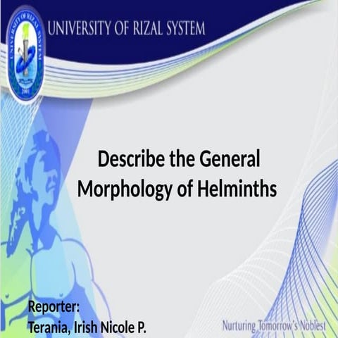 Report on morphology of helminths (A general Describe) | PPTX
