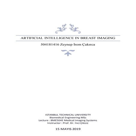 Report artificial intelligence in breast imaging | PDF