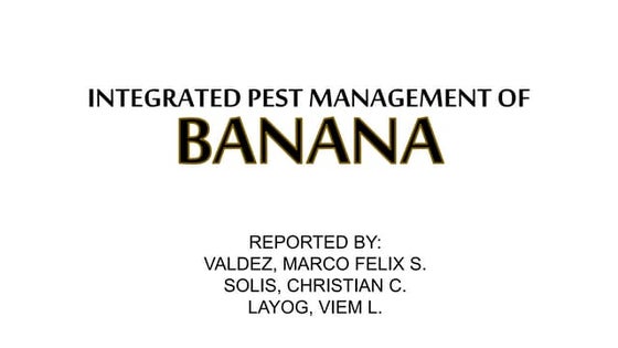 Philippine Native Chicken: The BANABA NATIVE CHICKEN of CALABARZON | DOCX