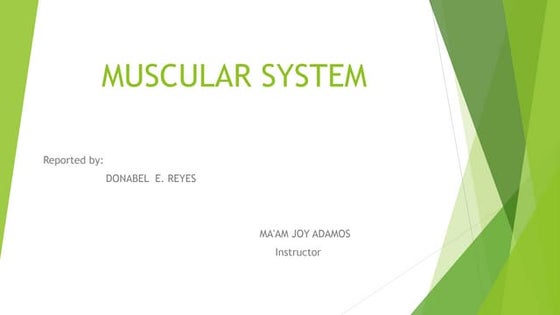 CARTILAGE | PPT