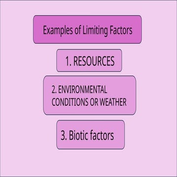 Laws of limiting factors | PPTX