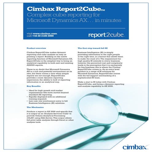 Report2 Cube | PDF
