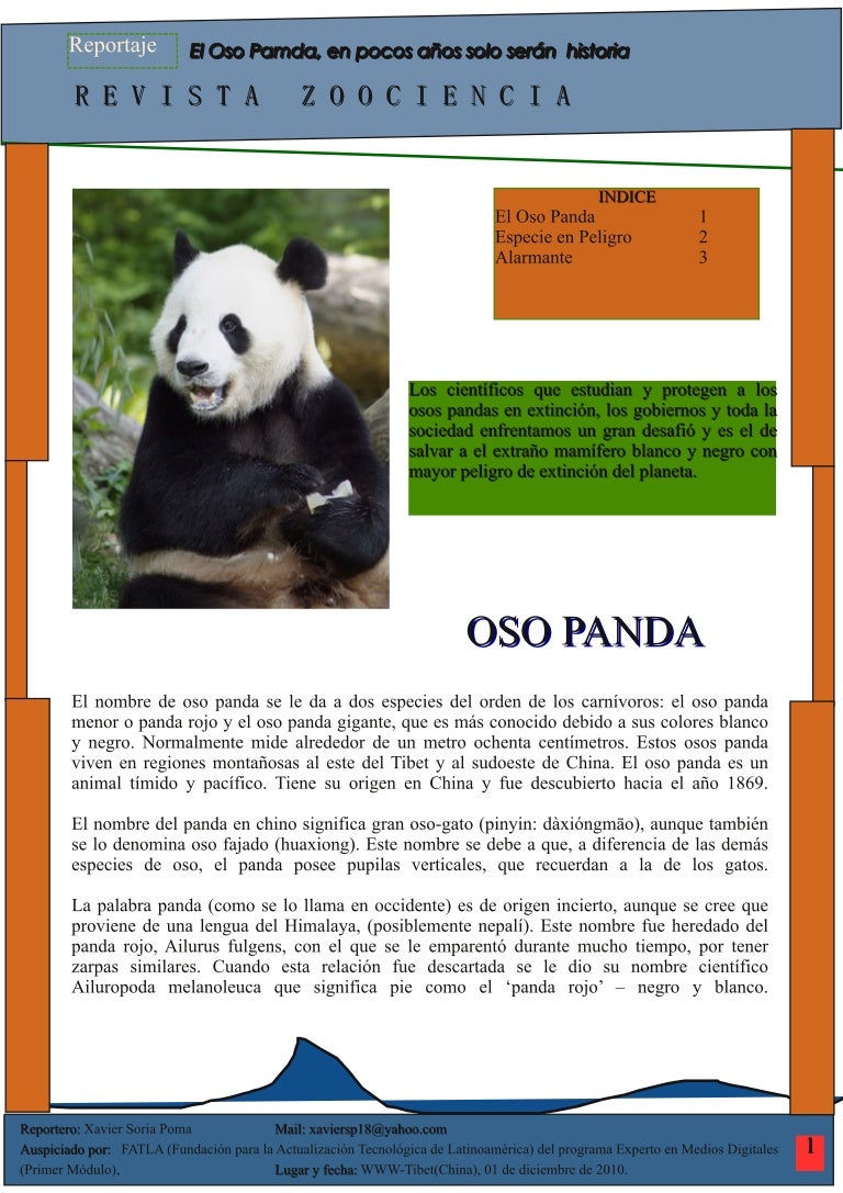 Reportaje oso panda