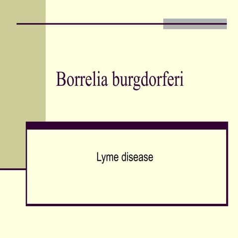 Report Borrelia.pptx