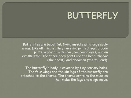 Butterfly Life Cycle-Grade 3 powerpoint presentation | PPT | Biological ...