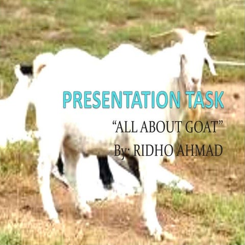 Animal Terminology | PPT