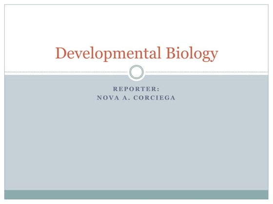 Developmental Specification & Differentiation | PDF | Biological ...