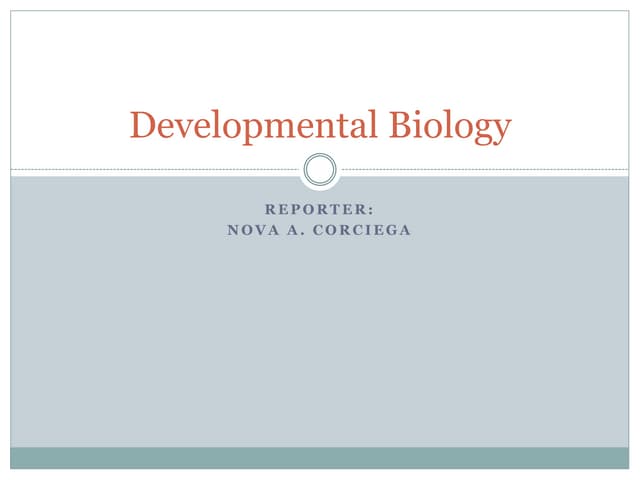 Developmental Specification & Differentiation | PDF