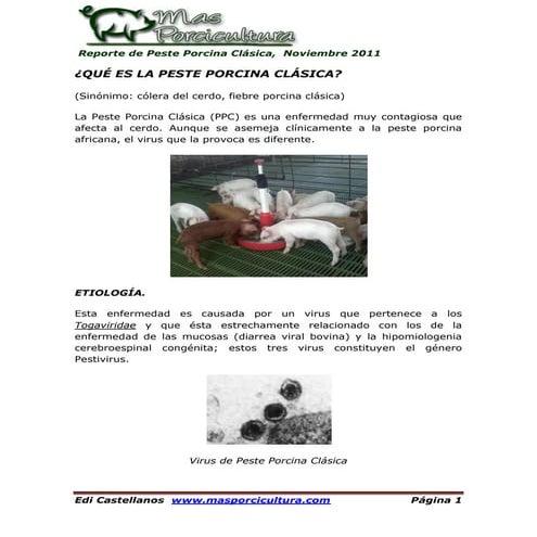 Colera Porcino ó Peste porcina clásica | PPT