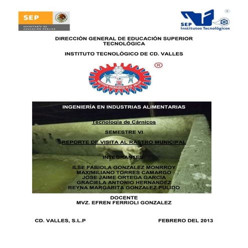 Reporte de visita rastro | DOCX