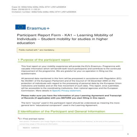 Report erasmus | PDF