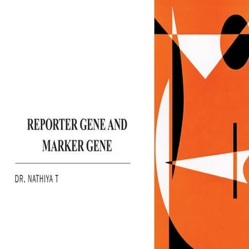 REPORTER GENE AND MARKER GENE presentation pdf.pdf