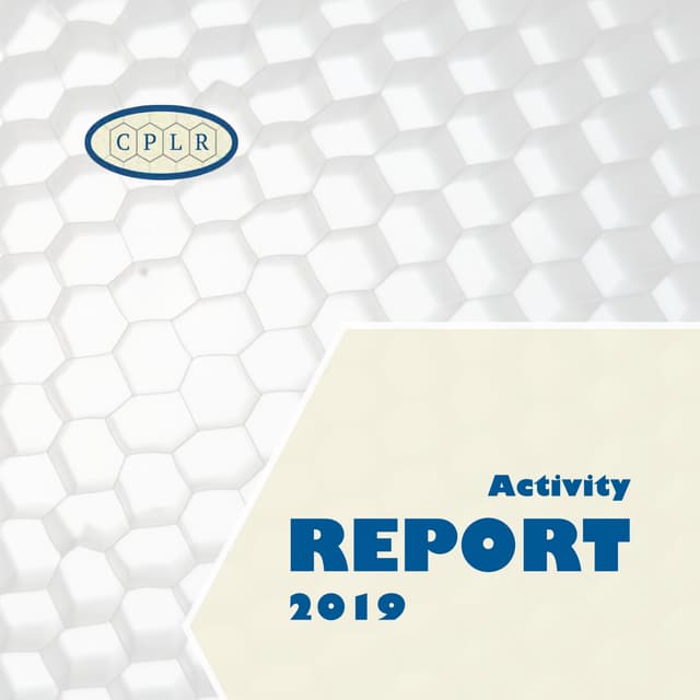 Activity report of the CPLR 2019 | PDF