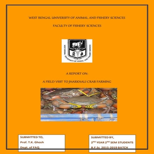 Jharkhali field Report front page | DOCX