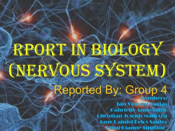 The nervous system | PPTX