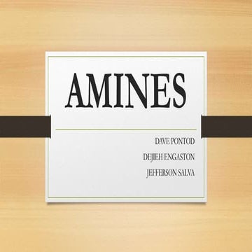 Report in AMINES | PPTX