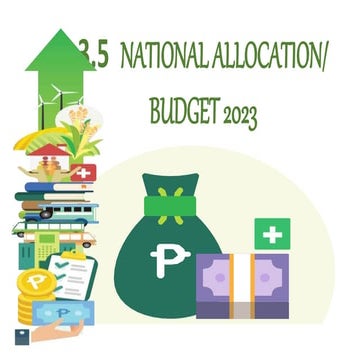 report in Fiscal Administration National Tax Allocation .pptx