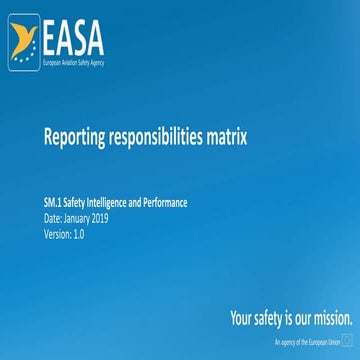 Reporting_responsibilities_matrix.pptx