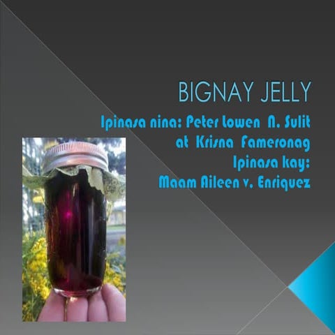 Report jelly | PPTX