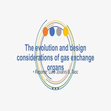 Gas Exchange | PPT