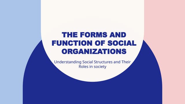 Social organization.pptx