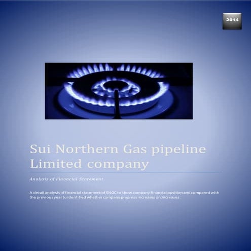 Analysis of Financial Statement of SNGC | DOCX