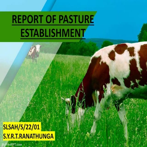 REPORT OF PASTURE ESTABLISHMENT.pptx