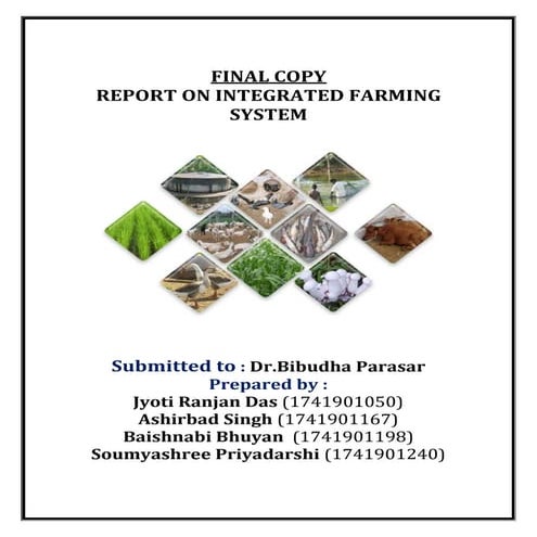 REPORT ON INTEGRATED FARMING SYSTEM.pdf