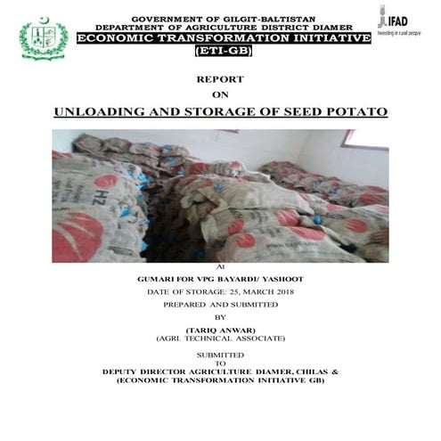 Report on potato storage DARAIL DAIMER GILGIT | DOCX
