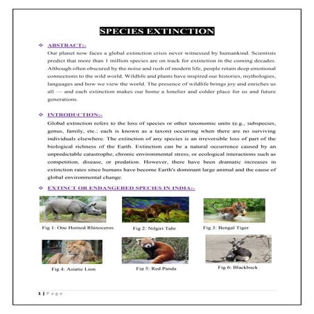 REPORT ON SPECIES EXTINCTION.docx