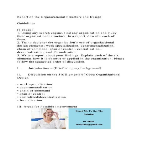 Report on the Organizational Structure and Design Guidelines.docx