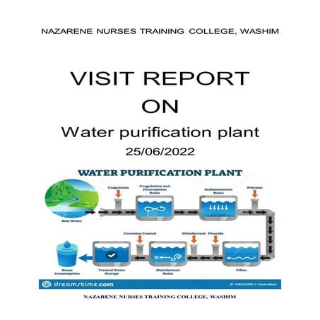 Report on Water Purification.docx