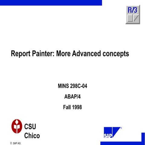Report Painter in SAP: Introduction | PDF