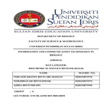 Report simulation | DOCX