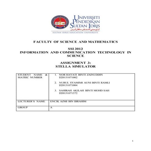 Report stella simulator | PDF