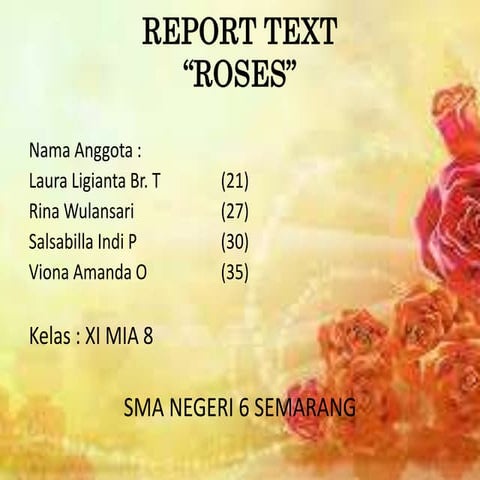 Report Text Roses | PPTX
