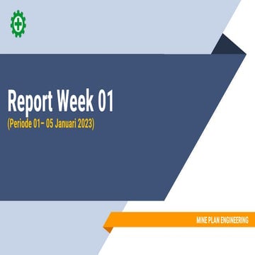 Report Week 01.pptx