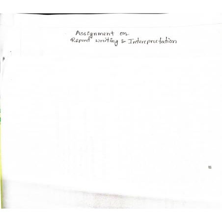 Assignment on Report writing and Interpretation | PDF